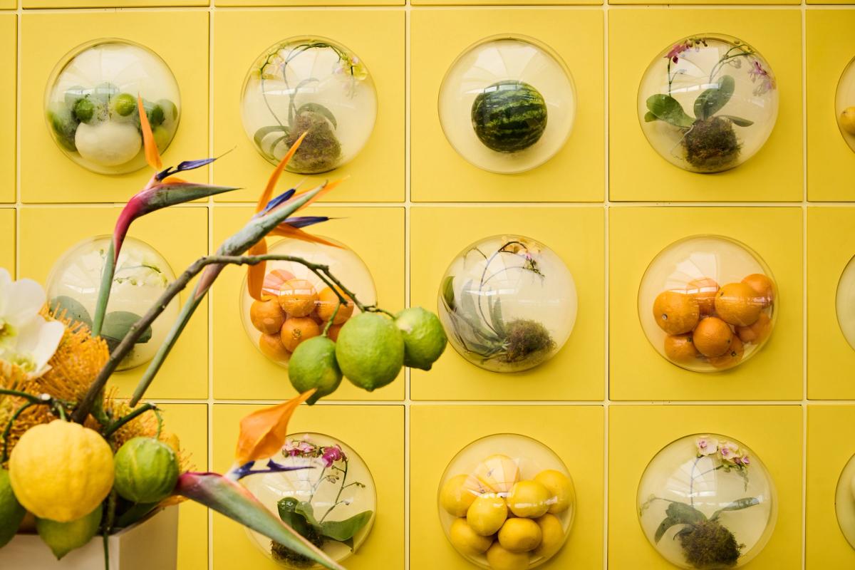 Brand Activation and Experiential Marketing - Moth Design